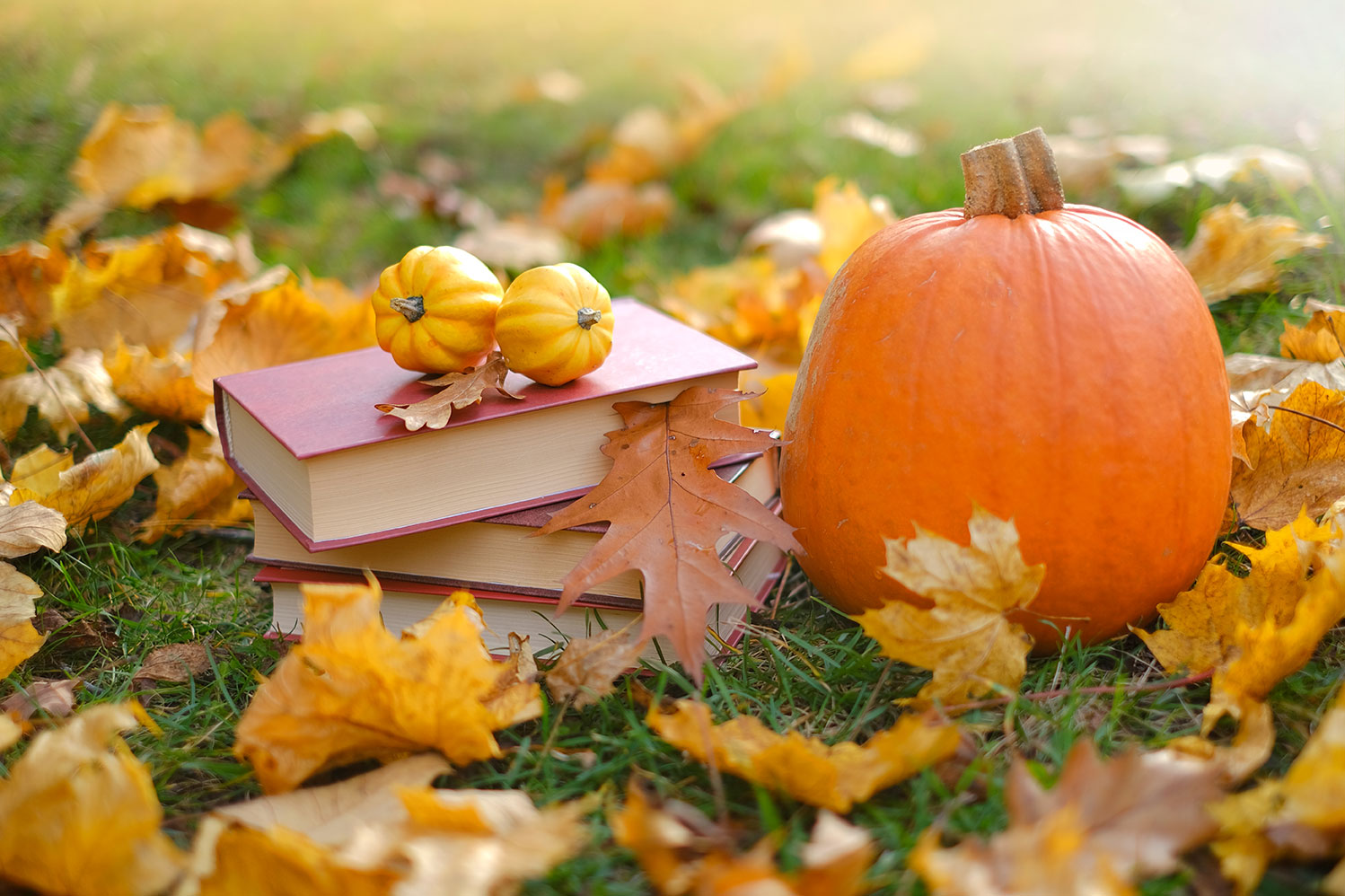 Happy Halloween! October 2021 Updates & ASB News | Independence Charter ...